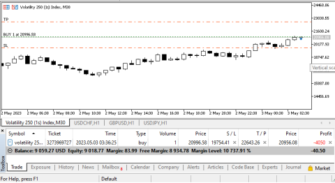 Volatility 250 1s Index Pip Calculator - Example for You - Get Know Trading